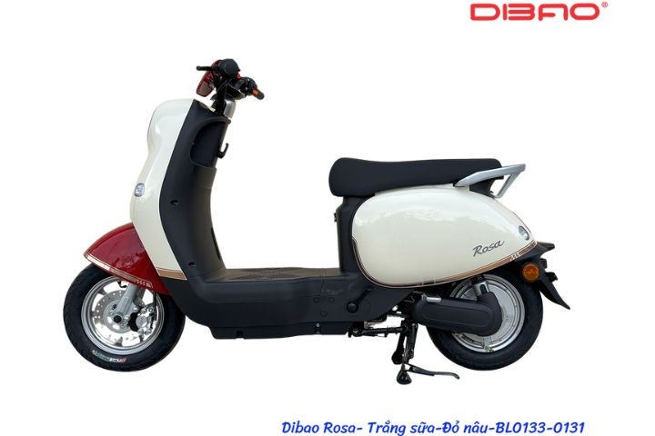 XE MÁY ĐIỆN DIBAO ROSA
