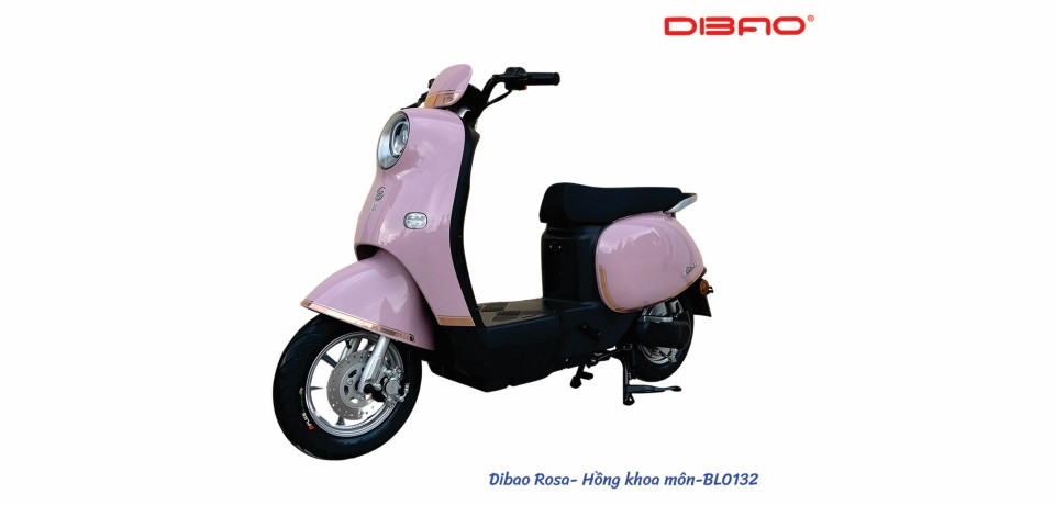 XE MÁY ĐIỆN DIBAO ROSA