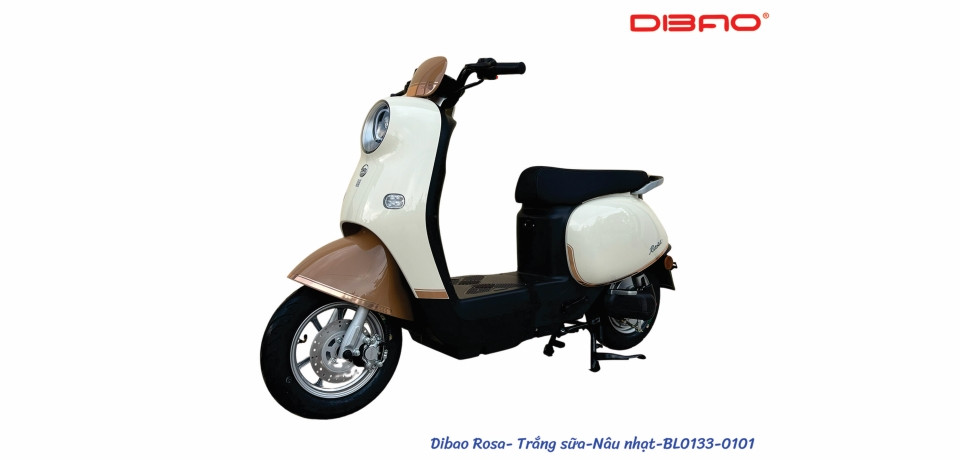 XE MÁY ĐIỆN DIBAO ROSA