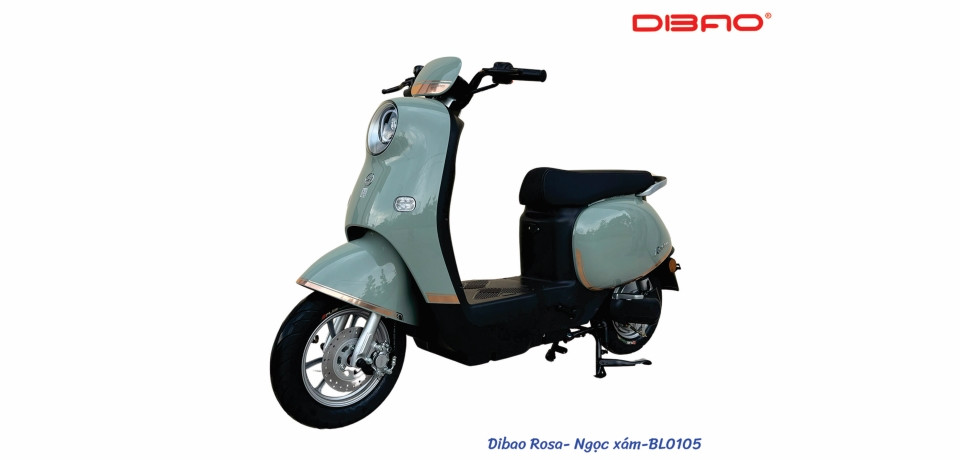 XE MÁY ĐIỆN DIBAO ROSA