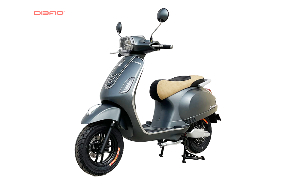 XE MÁY ĐIỆN DIBAO PANSY S4