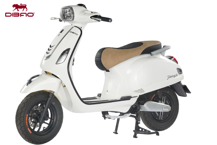 XE MÁY ĐIỆN DIBAO PANSY S4